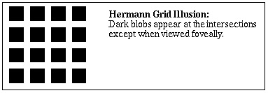 Hollow Face Illusion